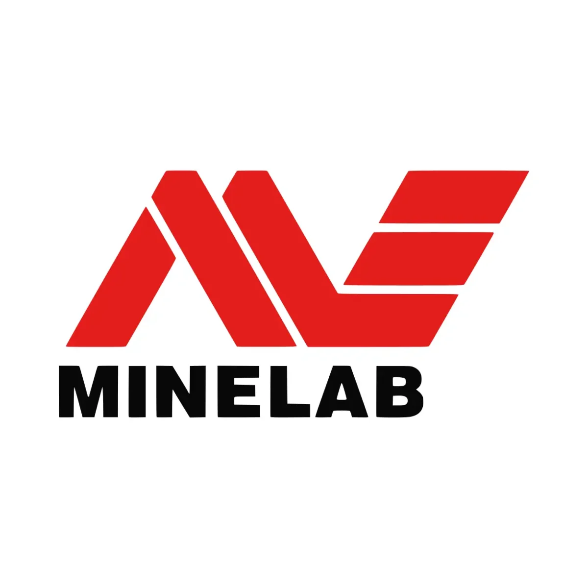 Minelab WM09 Wireless Audio Module – Canadian Treasure Seekers